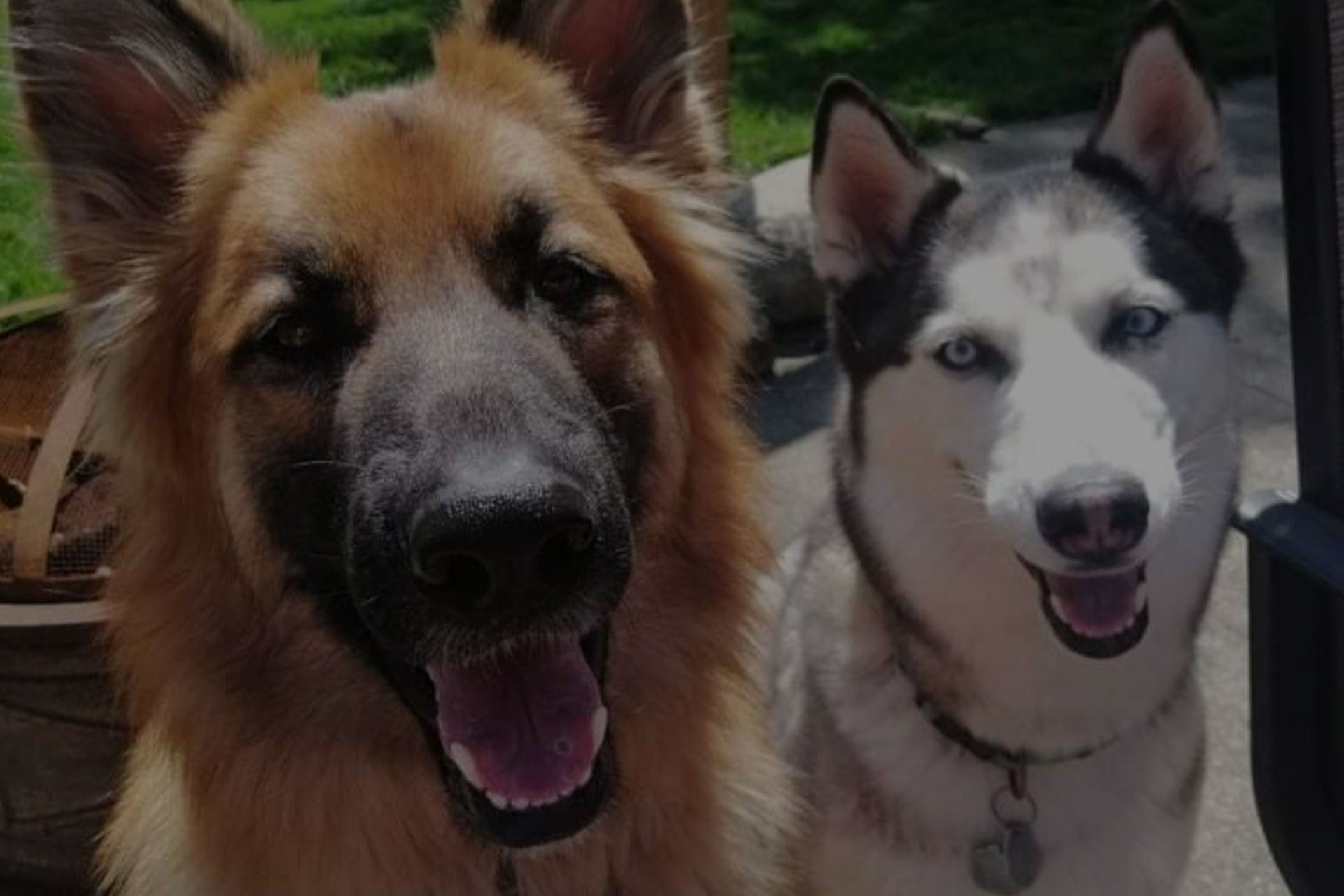 Veterinarians - Vet in Oak Creek | Oak Creek Veterinary Care