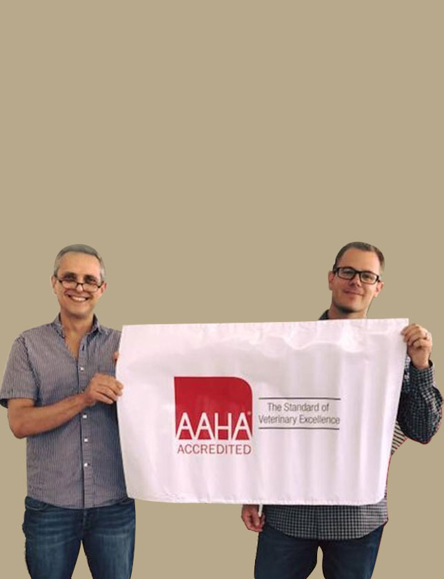 AAHA - Vet in Oak Creek | Oak Creek Veterinary Care